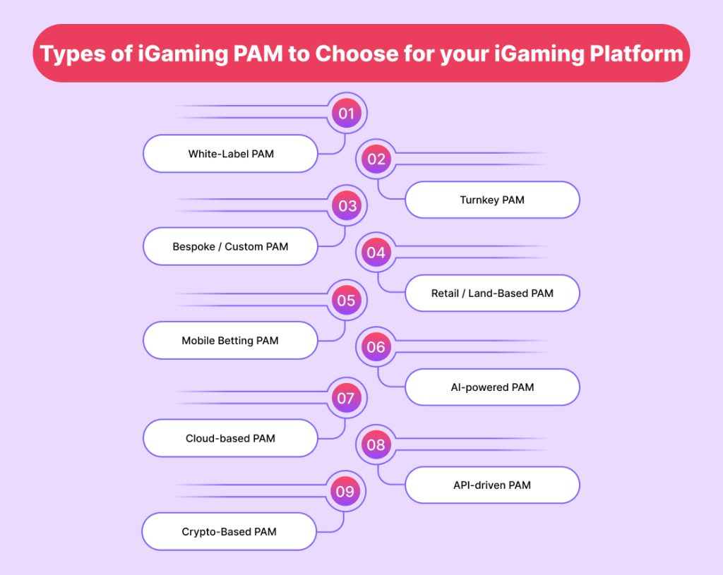 iGaming PAM: Types, Features & Best Use Cases | GammaStack